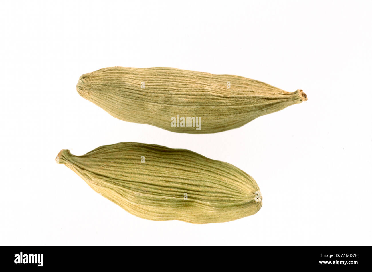 Cardamom with white background Stock Photo - Alamy