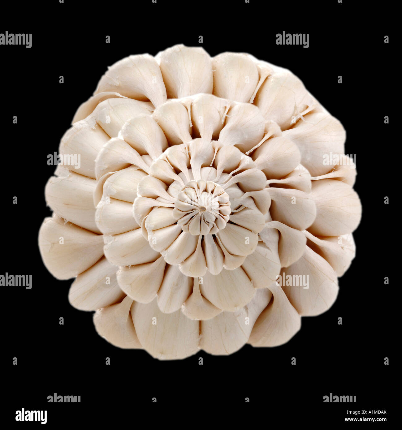 Lahsan hi-res stock photography and images - Alamy