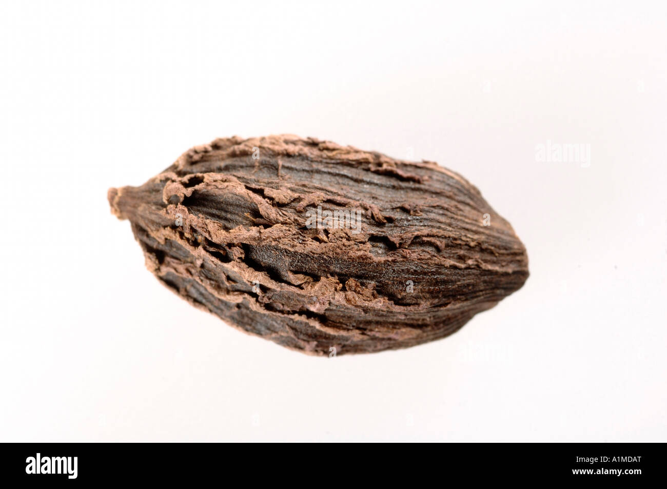 Large cardamom hi-res stock photography and images - Alamy