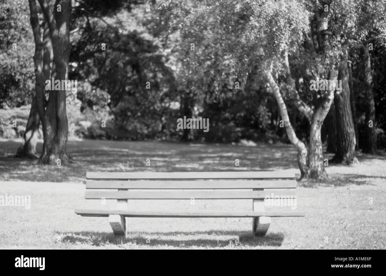 Rural parkland bench Dorset Monochrome Stock Photo - Alamy