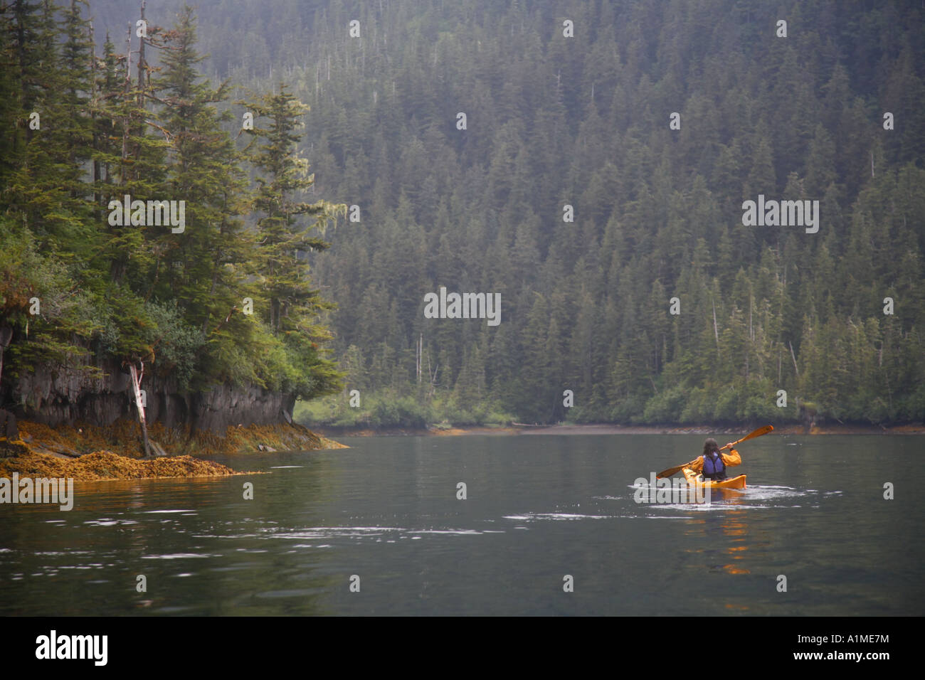 Kayaking in Cascade Bay Prince William Sound Chugach National Forest ...