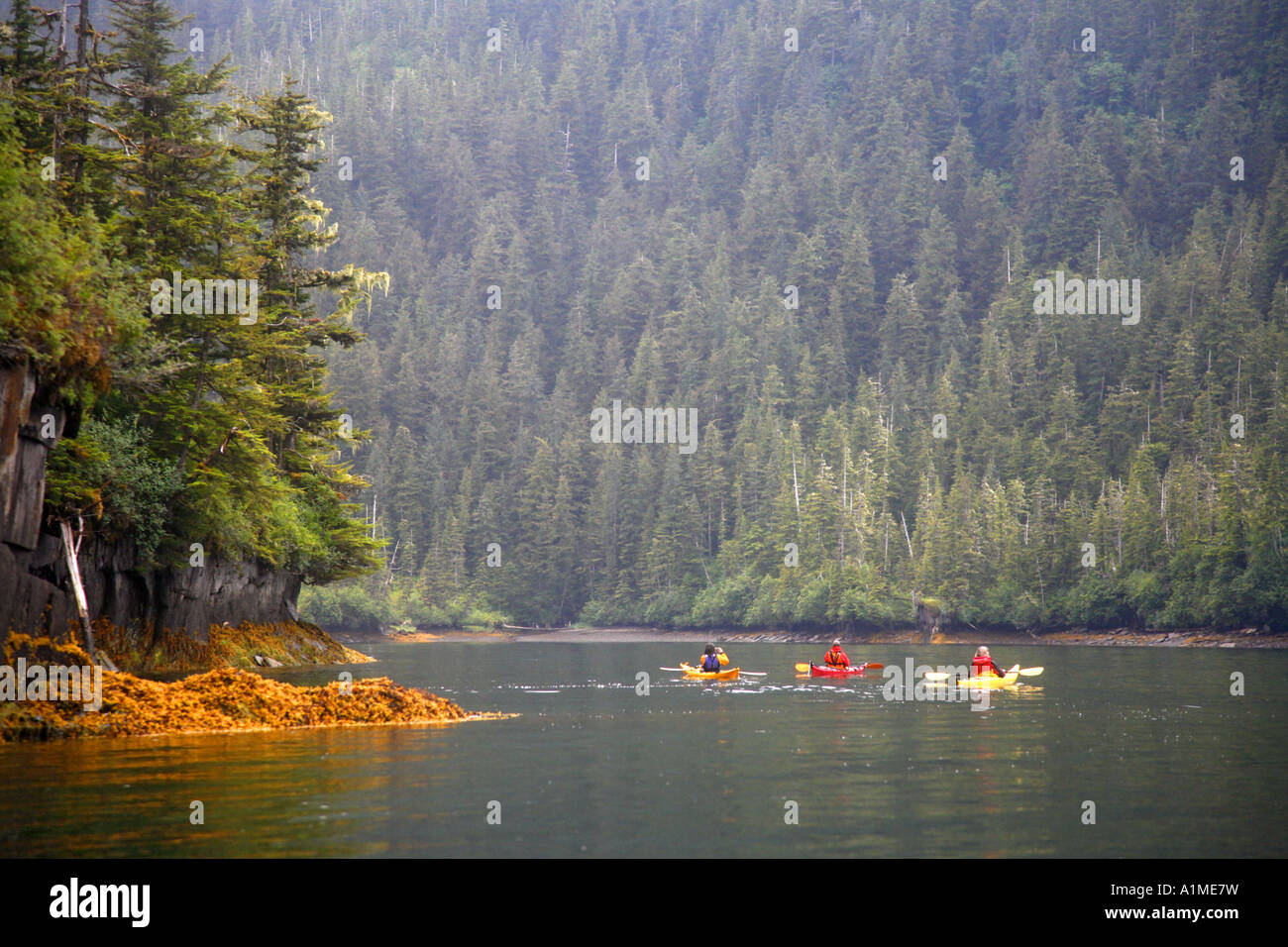 Kayaking in Cascade Bay Prince William Sound Chugach National Forest ...