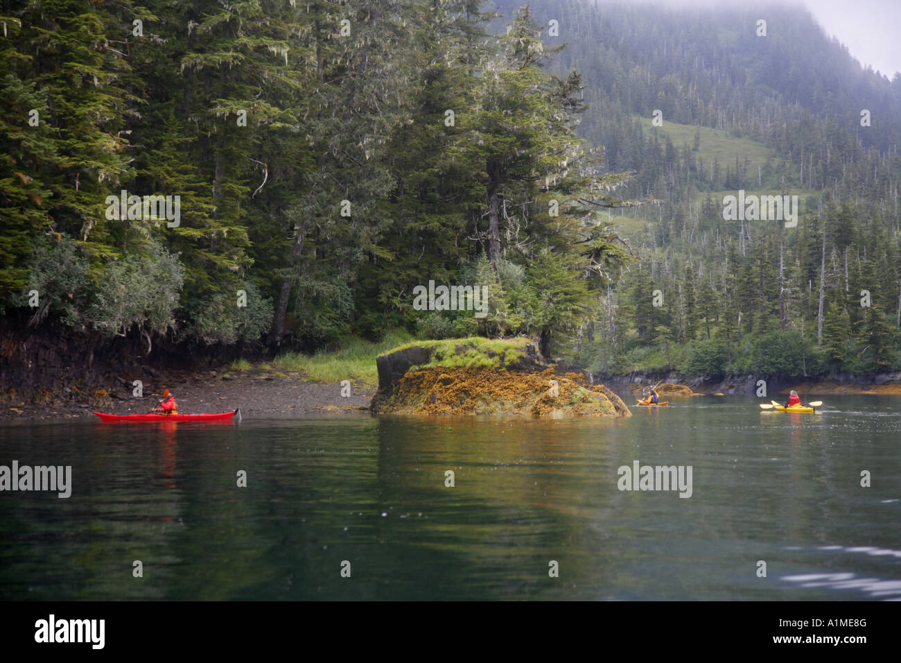 Kayaking in Cascade Bay Prince William Sound Chugach National Forest ...