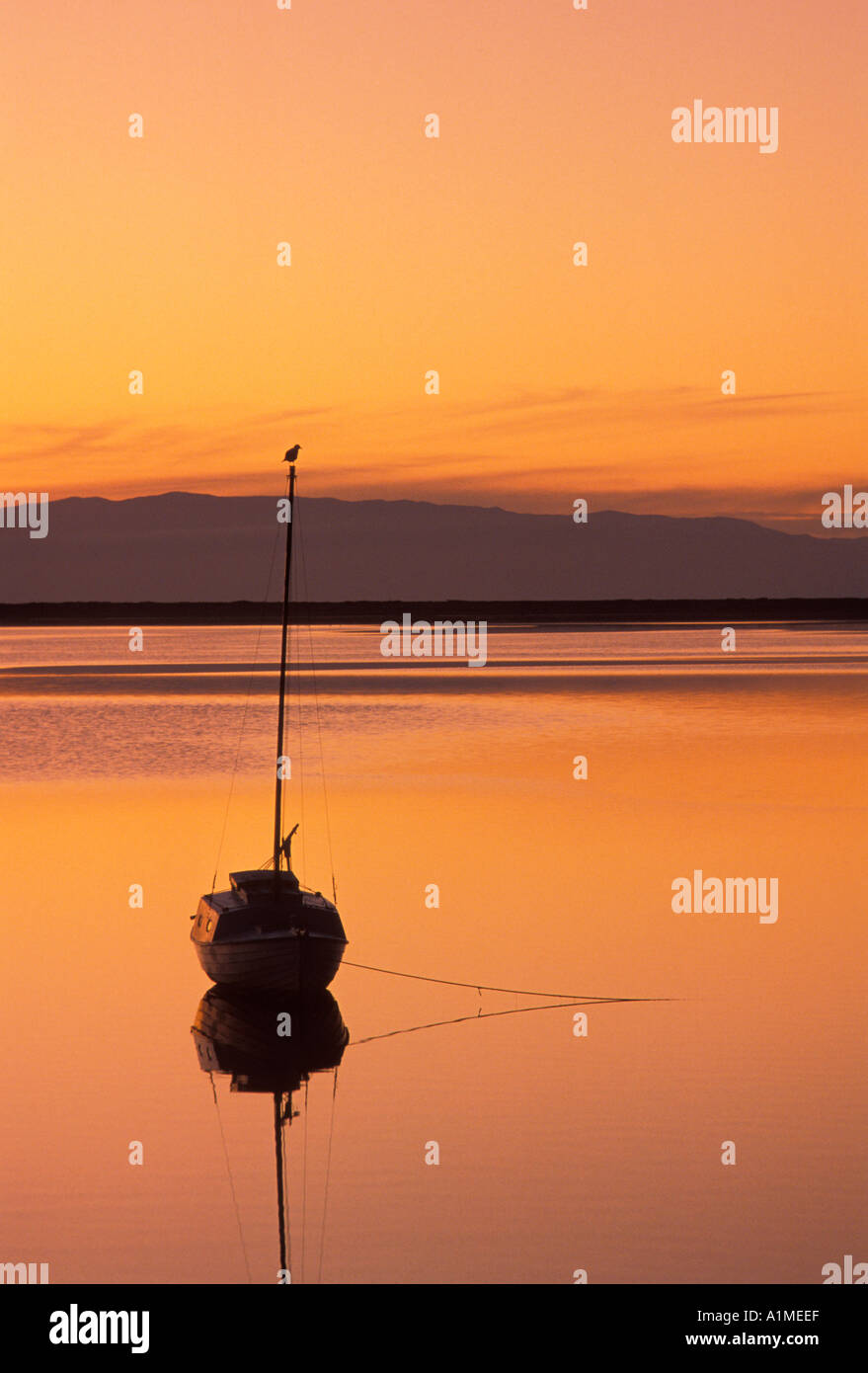 Port nelson nelson new zealand hi-res stock photography and images - Alamy