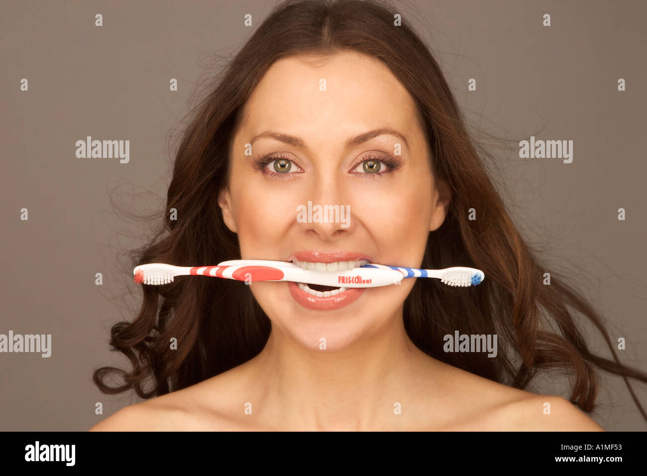 Slender tooth hi-res stock photography and images - Alamy