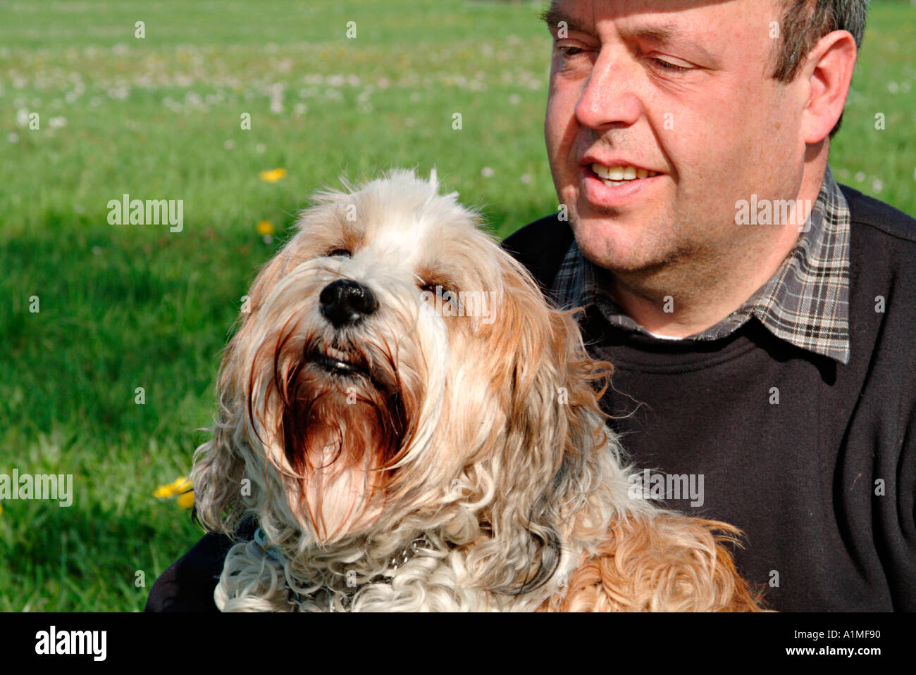 Dog connecting with owner hi-res stock photography and images - Alamy