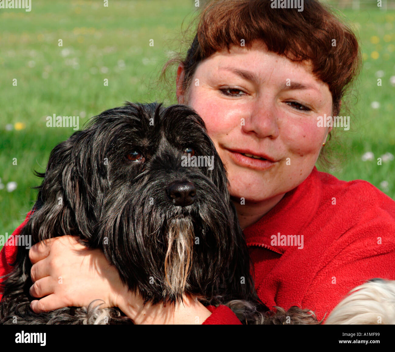 Dog connecting with owner hi-res stock photography and images - Alamy