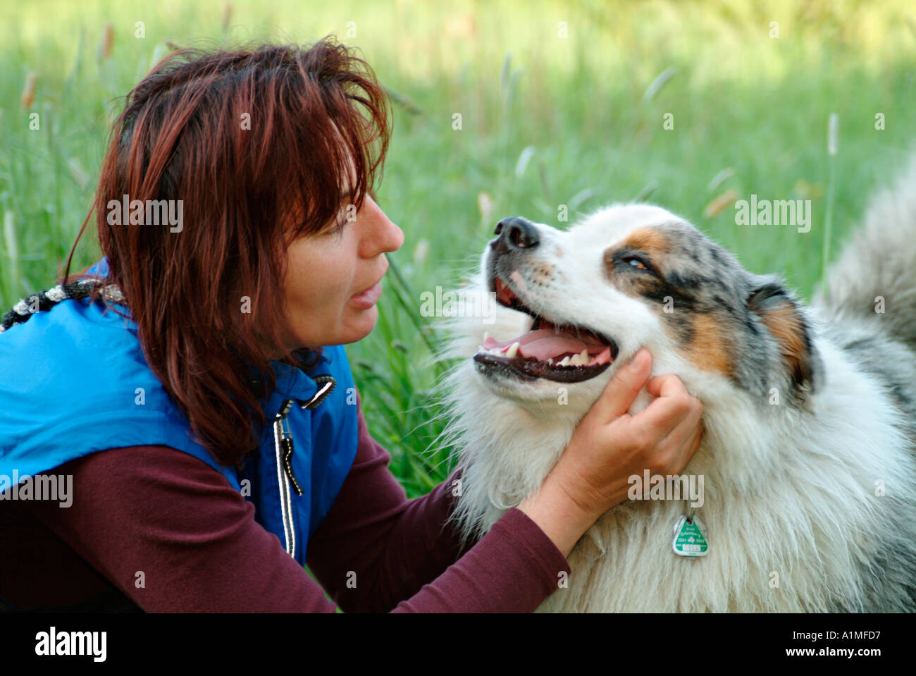 Dog connecting with owner hi-res stock photography and images - Alamy