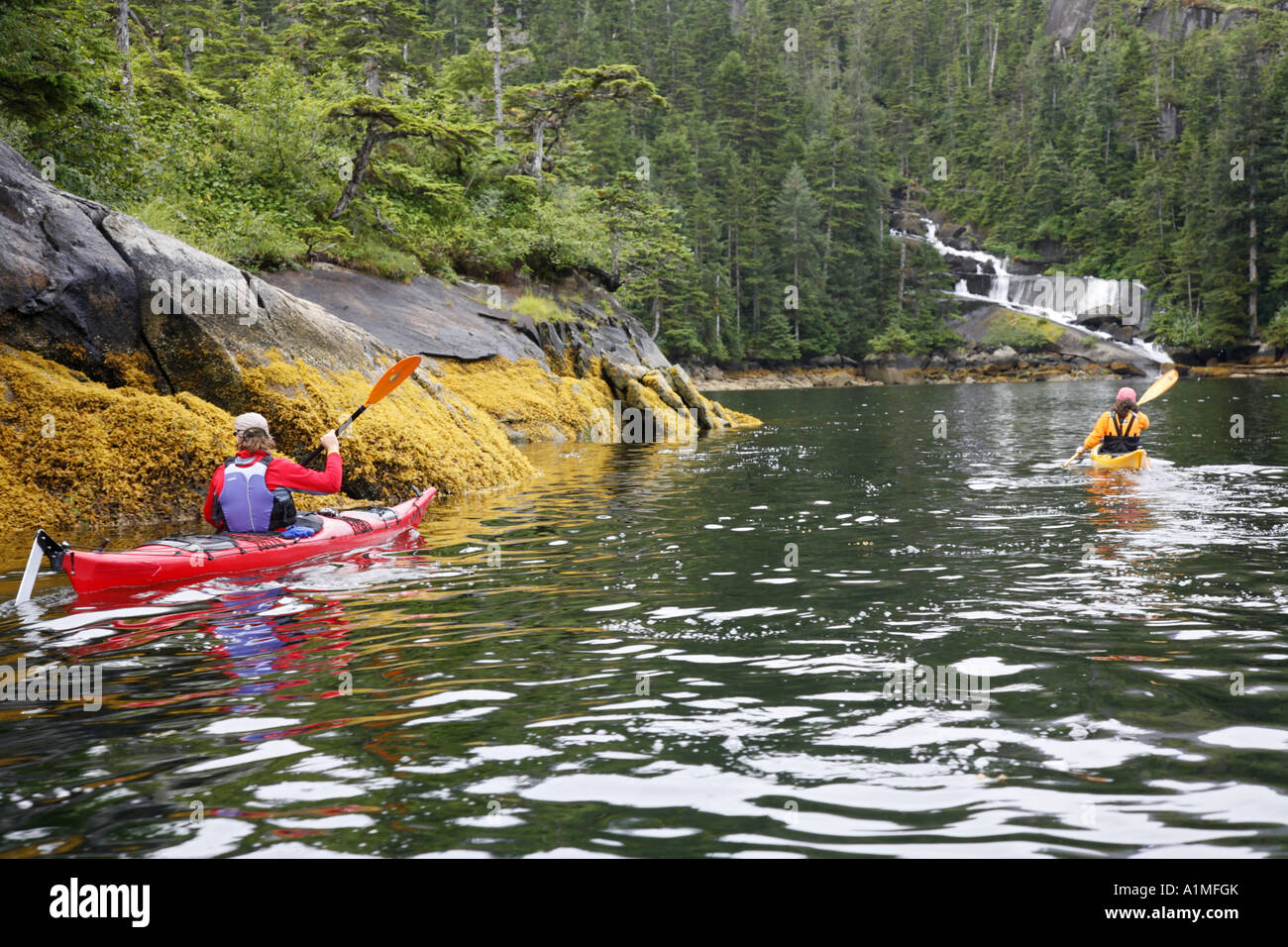 Kayaking in Hidden Bay Prince William Sound Chugach National Forest ...