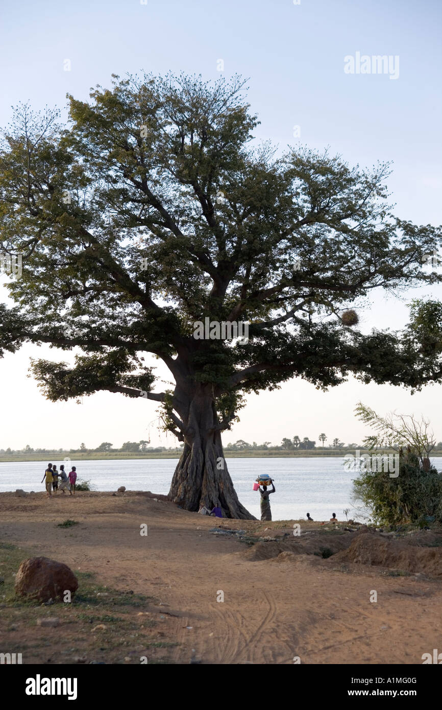 On the Niger riverbank, Segou town, Mali,West Africa Stock Photo - Alamy