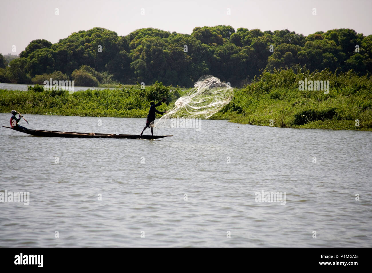 Fishing from wooden canoes on the Niger river,Bamako, Mali,West Africa ...
