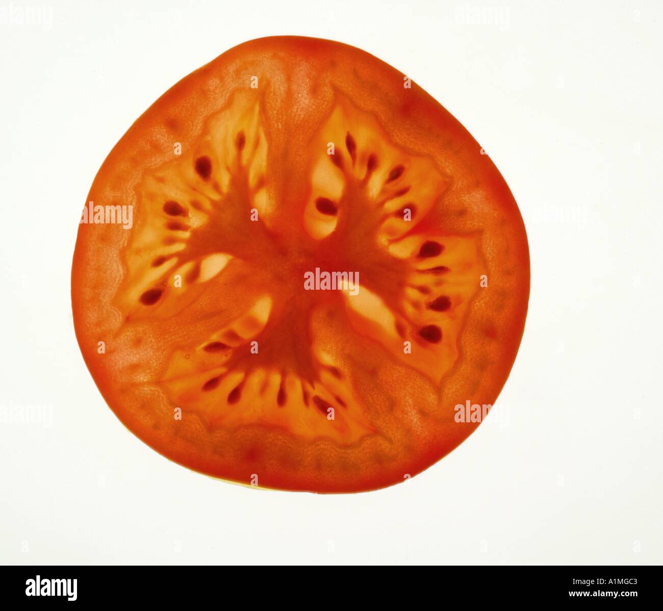 Slice of tomato 1 Stock Photo - Alamy