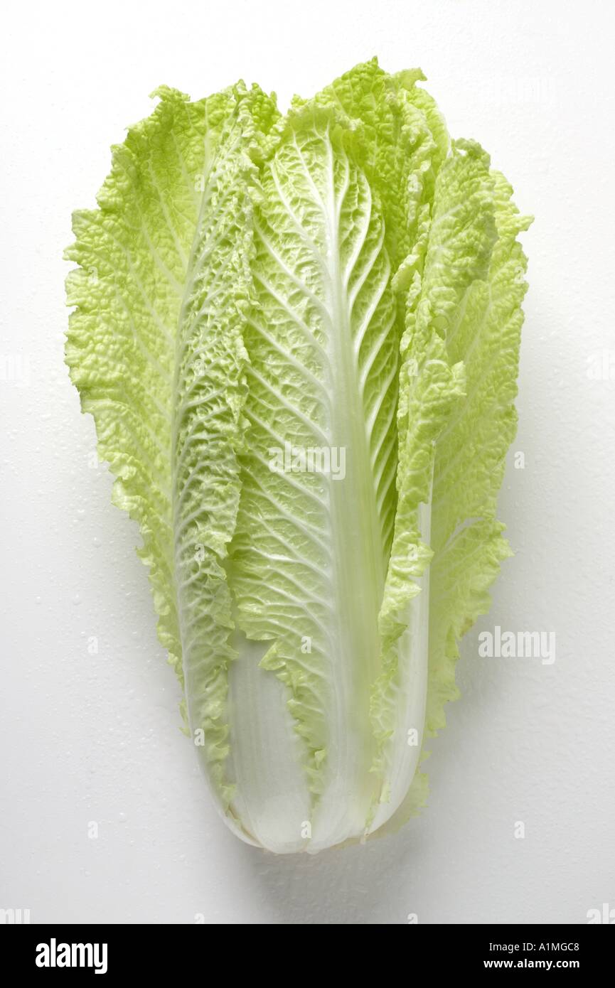 Fresh Chinese cabbage 2 Stock Photo - Alamy