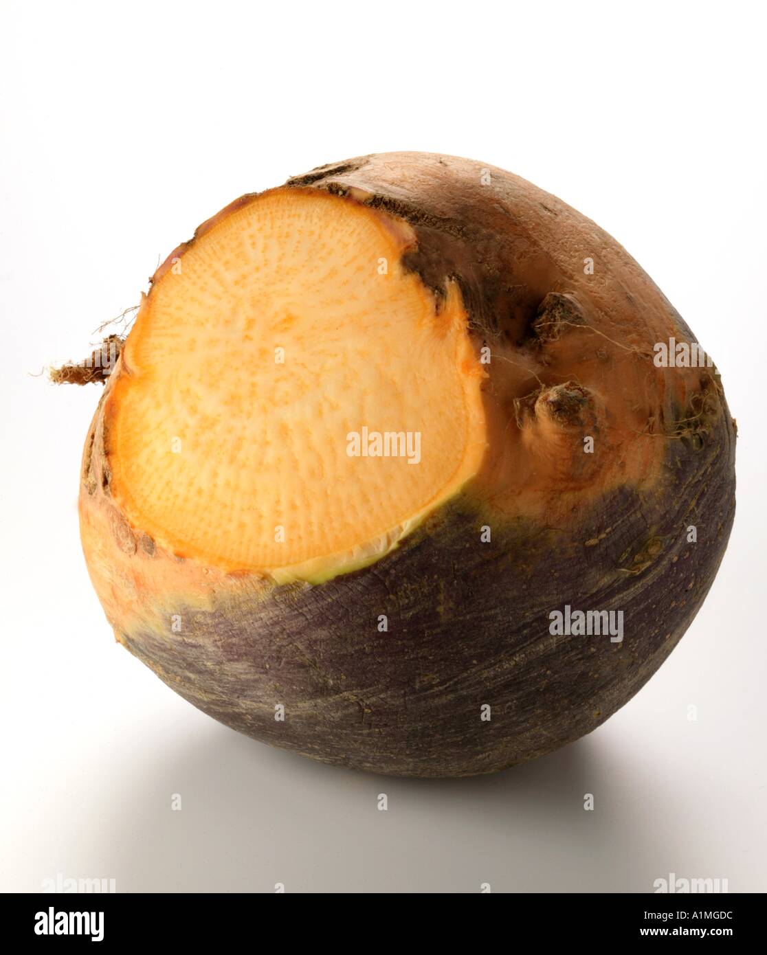 Pale piece hi-res stock photography and images - Alamy