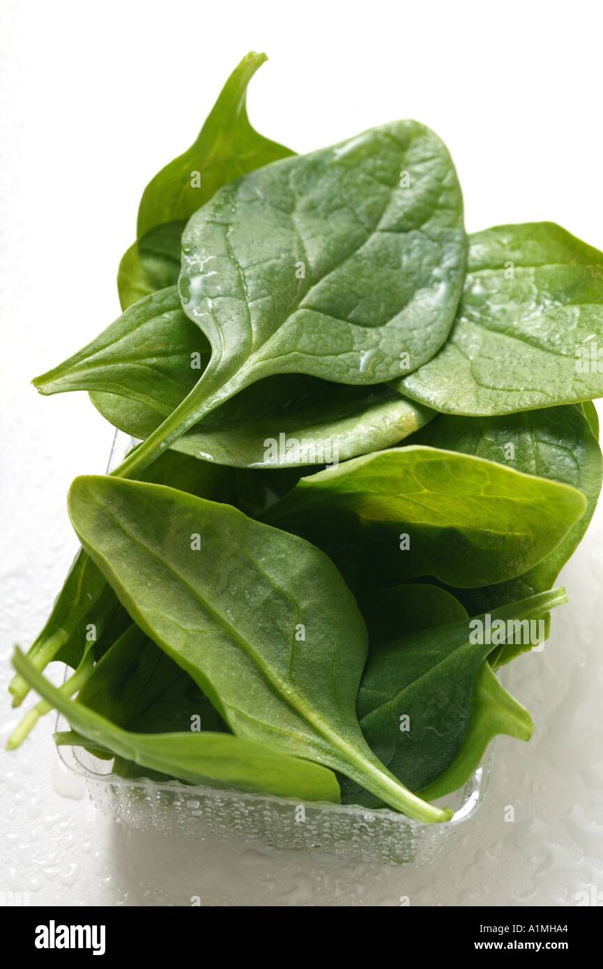 Washed young spinach leaves in plastic bowl Stock Photo - Alamy