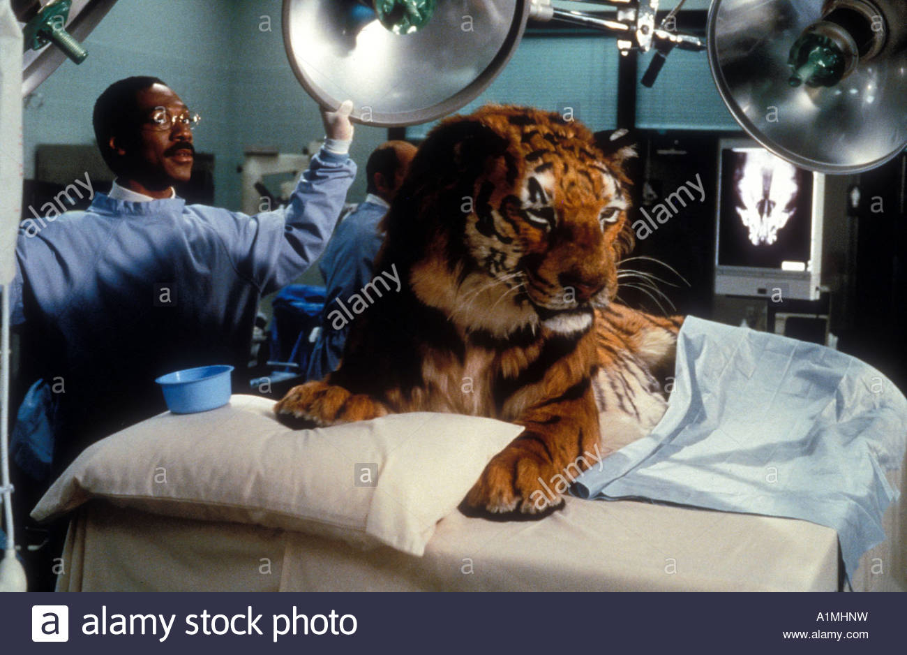 Eddie Murphy Tiger Doctor Dolittle Stock Photos & Eddie Murphy Tiger ...