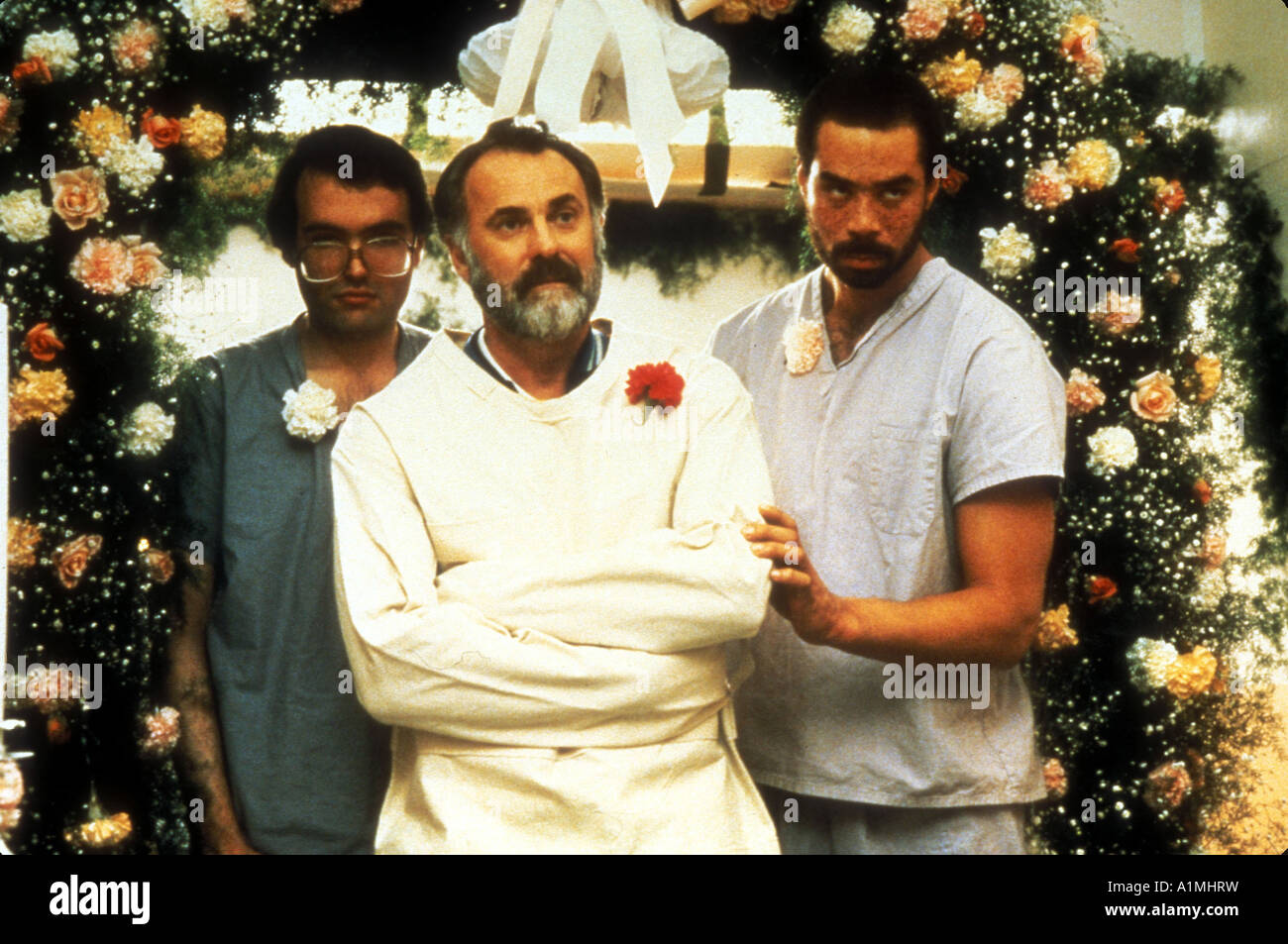 Arch marshall hi-res stock photography and images - Alamy