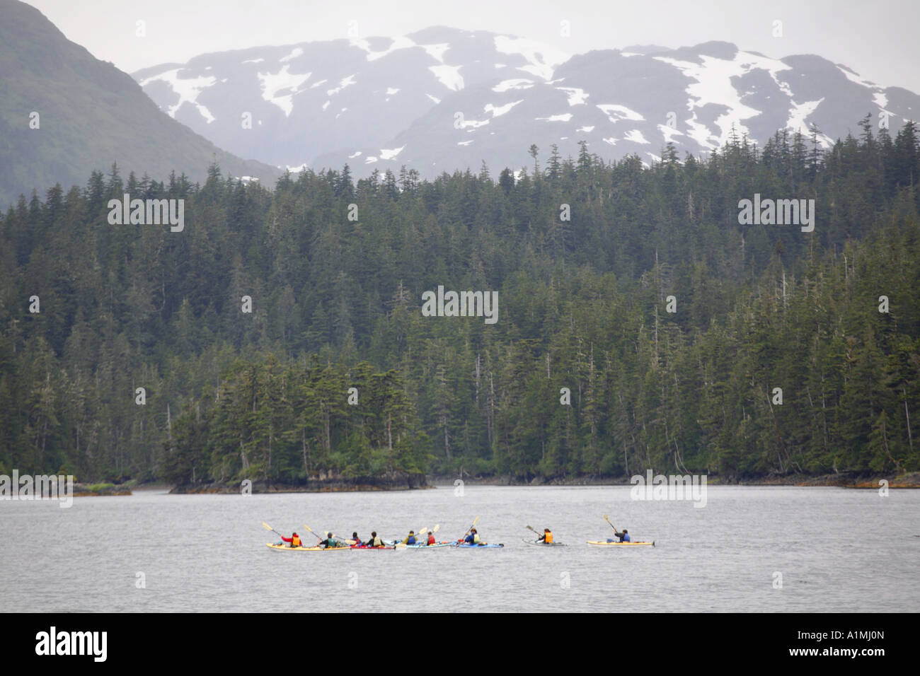 Group of Kayakers in Culross Passage Prince William Sound Chugach ...