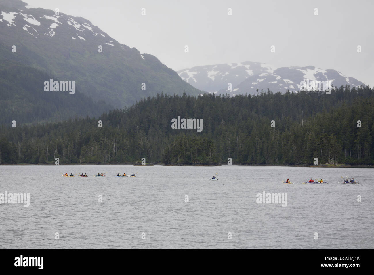 Group of Kayakers in Culross Passage Prince William Sound Chugach ...