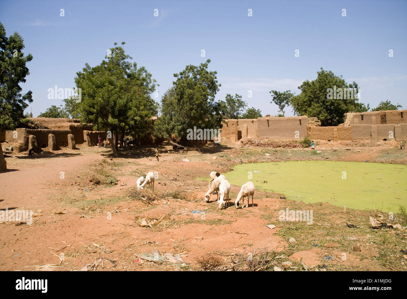 The town of Segoukoro the old Segou,Mali, West Africa Stock Photo - Alamy