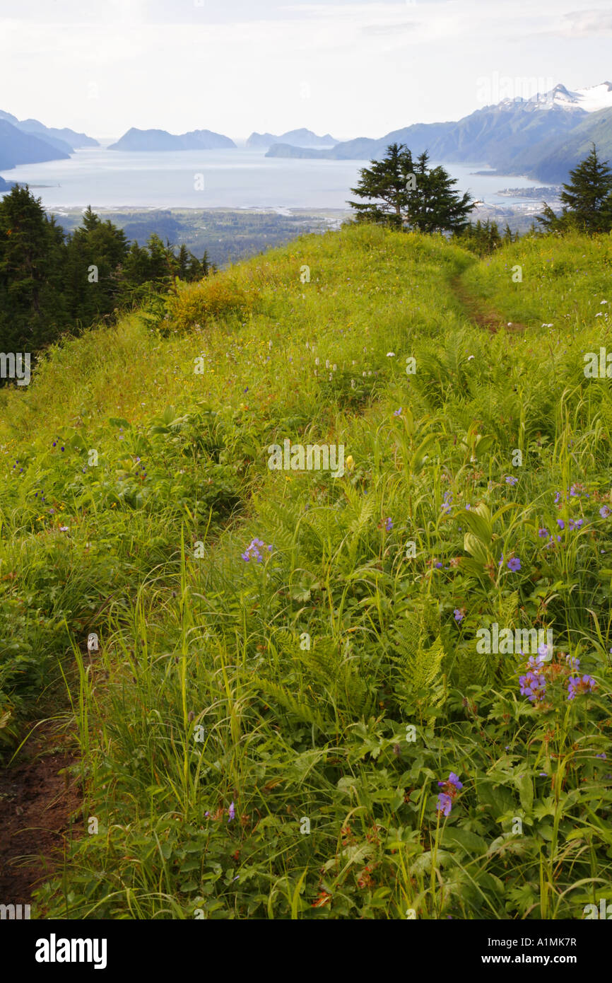 Lost Lake Trail Kenai Peninsula Chugach National Forest Alaska Stock ...