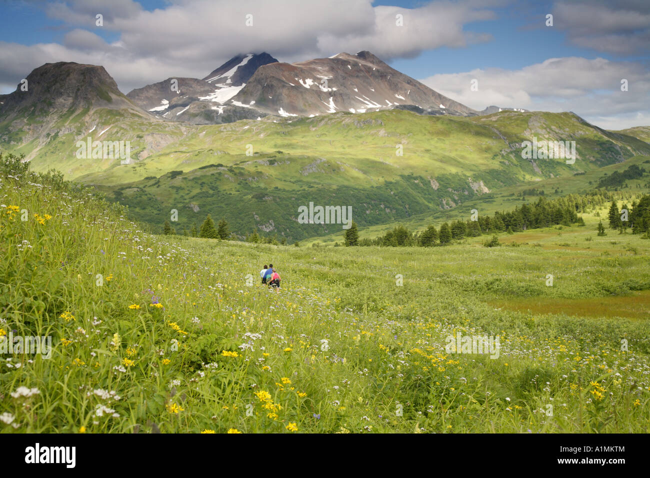 Lost Lake Trail Kenai Peninsula Chugach National Forest Alaska Stock ...