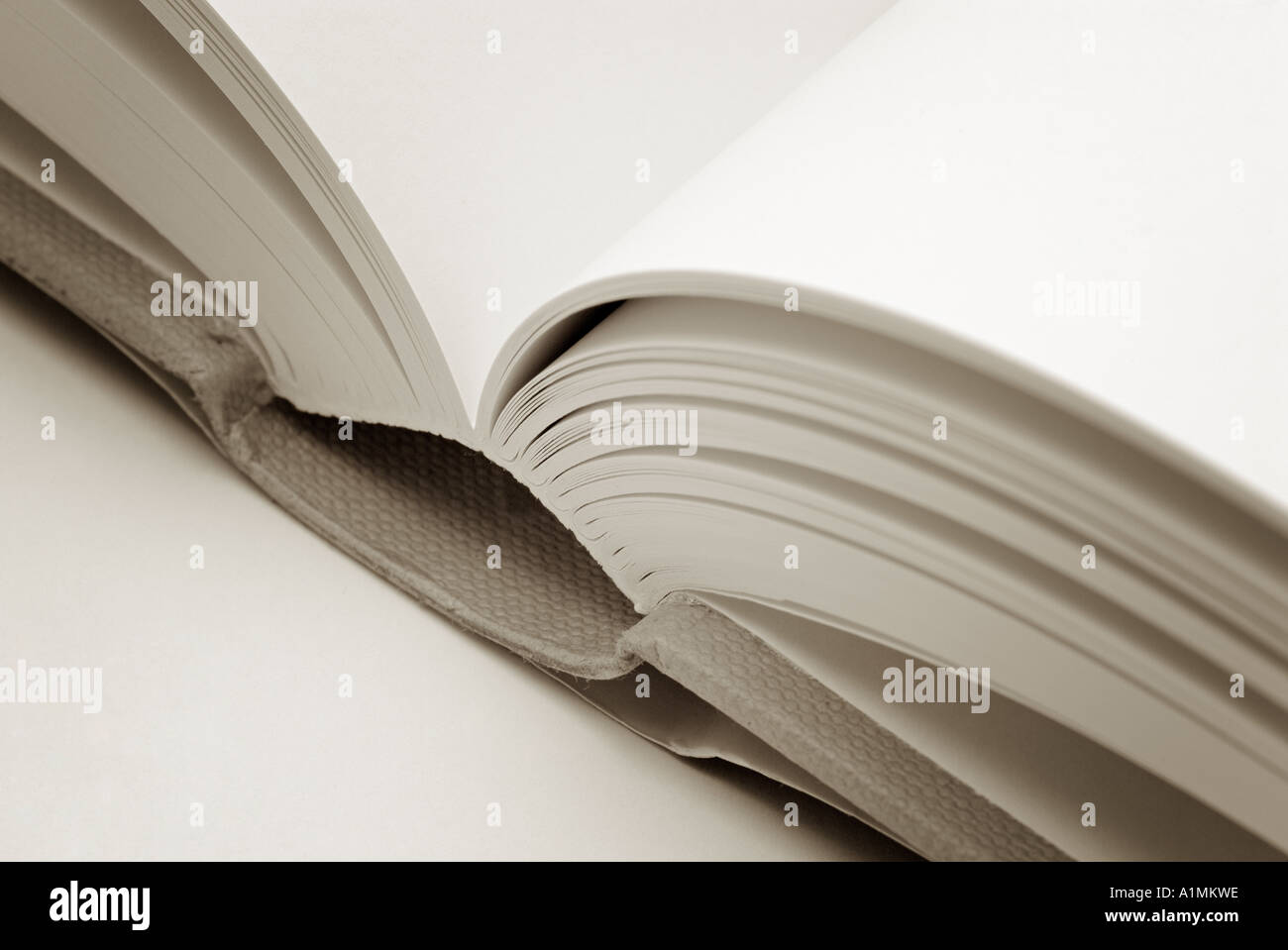 Open Book, Close Up Stock Photo - Alamy