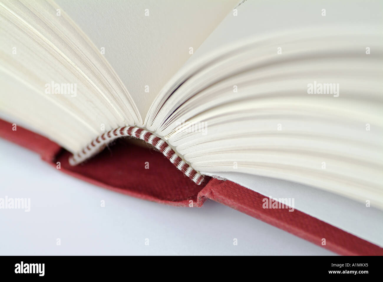 Open Book, Close Up Stock Photo - Alamy