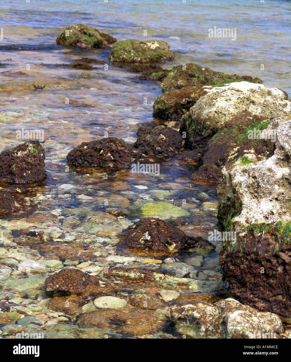 Rocks in shallow sea water Stock Photo - Alamy