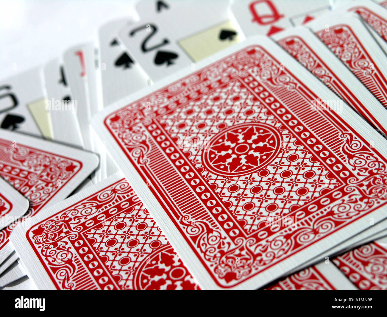 Playing cards spread out showing backs and suites Stock Photo - Alamy
