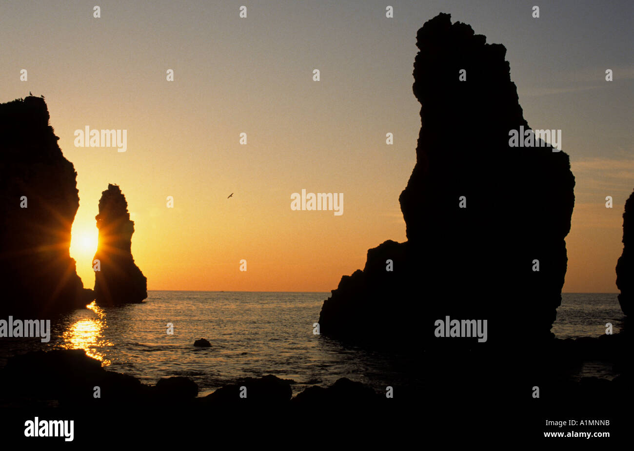 Sun sea on beach hi-res stock photography and images - Alamy