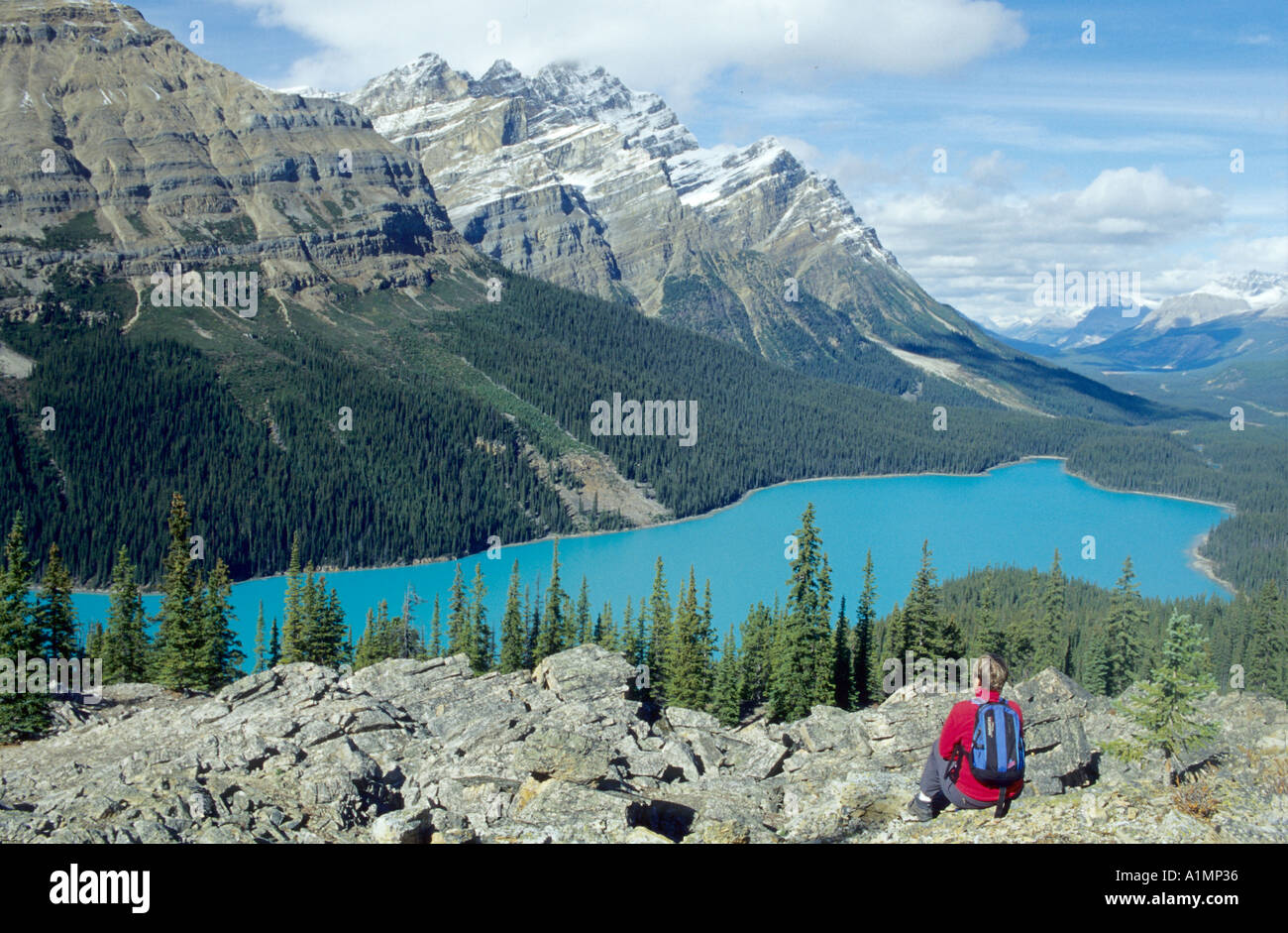 From the height hi-res stock photography and images - Alamy