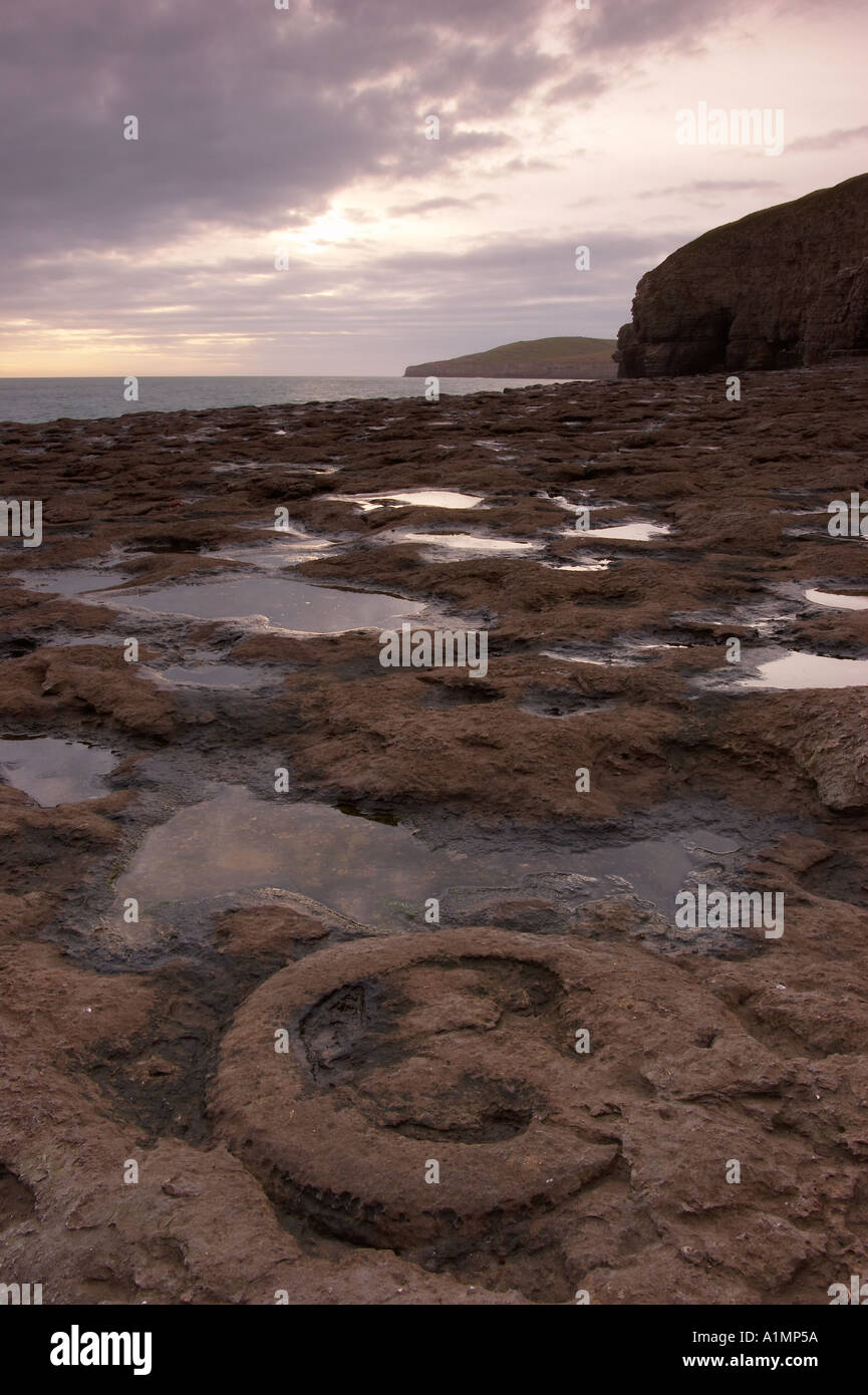 Dancing Ledge Isle of Purbeck Dorset UK Stock Photo - Alamy