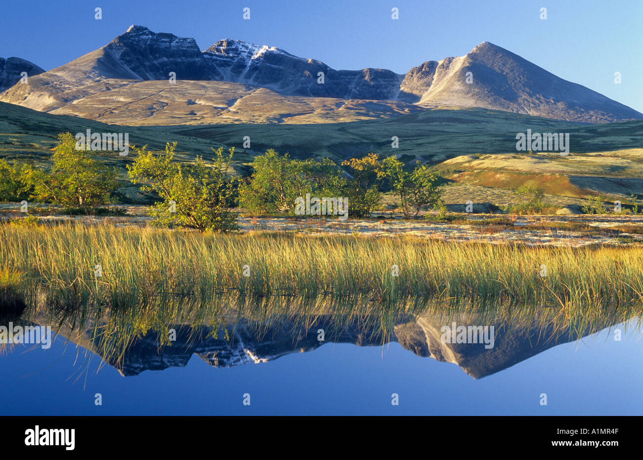 Norway Rondane Nationalpark Stock Photo - Alamy