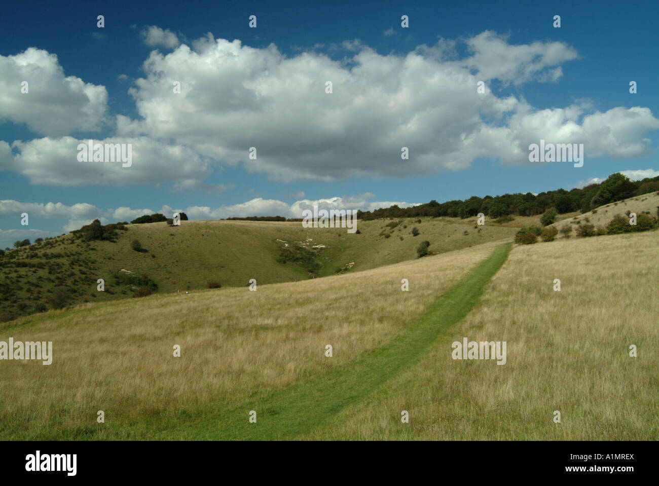 The Ridgeway Path on to Steps Hill Stock Photo - Alamy