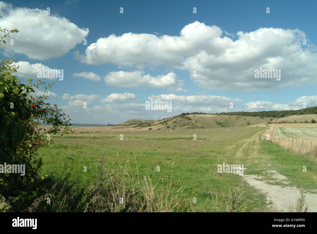Steps Hill and Ivinghoe Beacon Stock Photo - Alamy