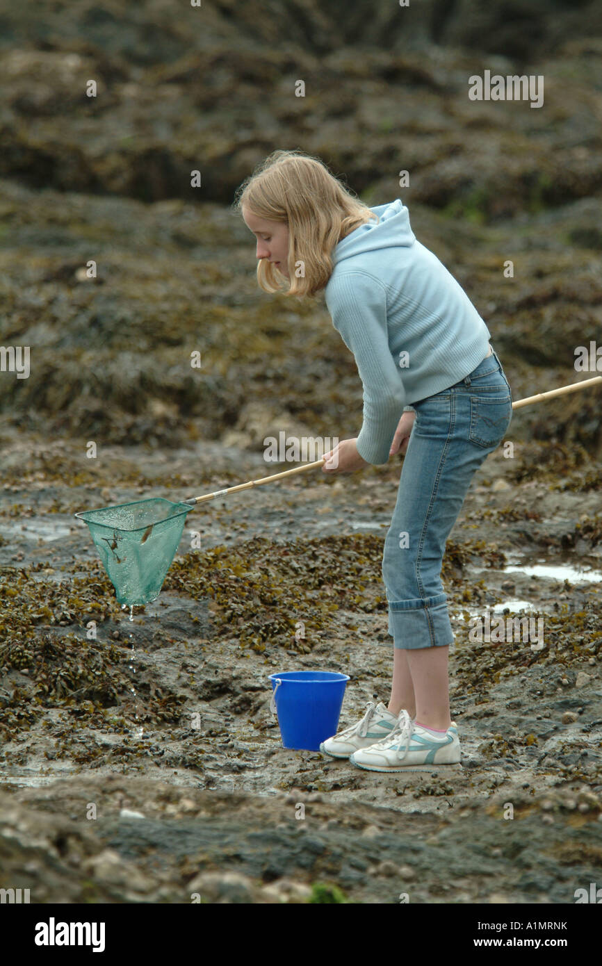 Rock pool net bucket hi-res stock photography and images - Alamy