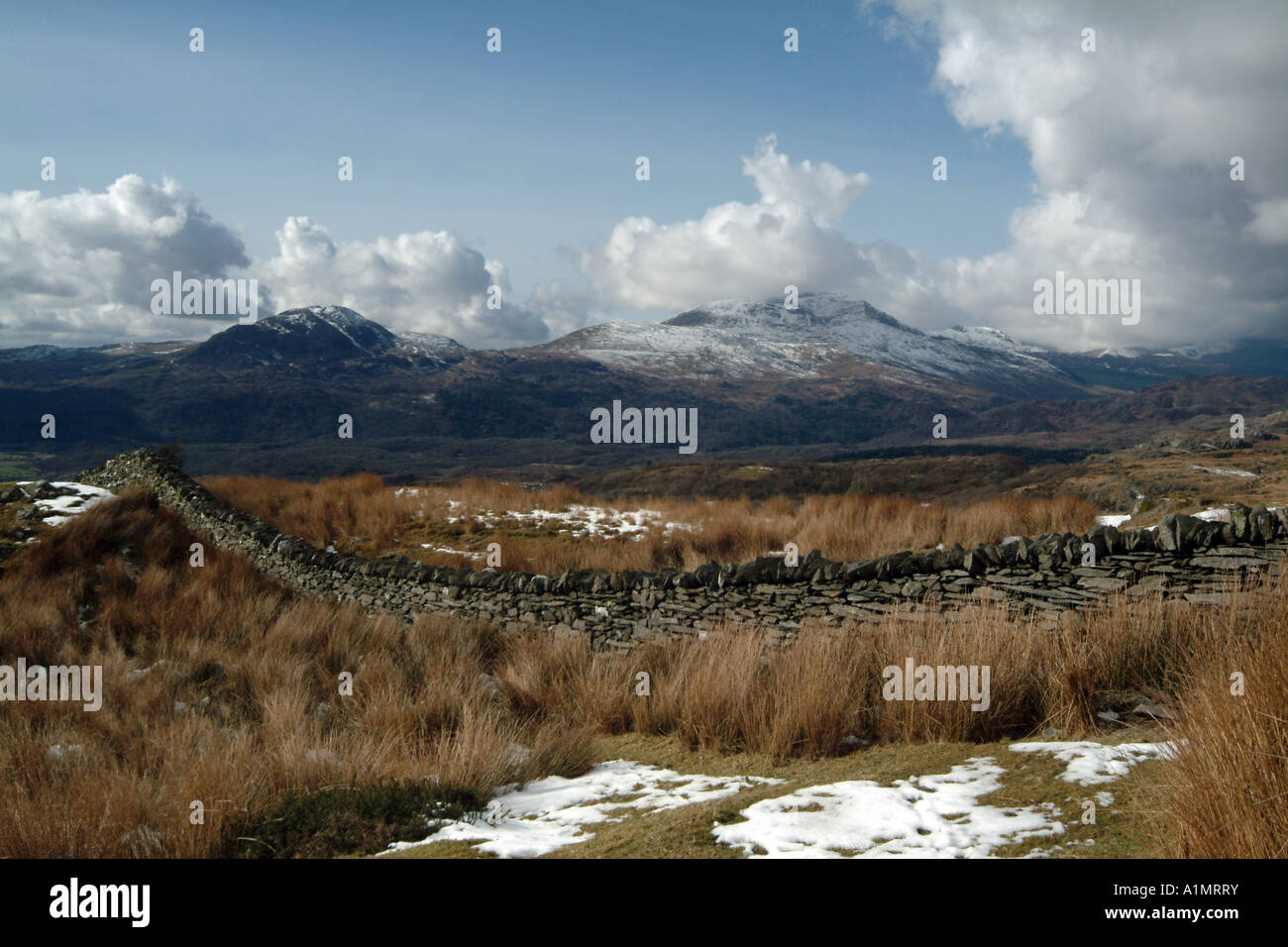 Moel-ddu and Moel Hebog from slopes above Croesor Stock Photo - Alamy