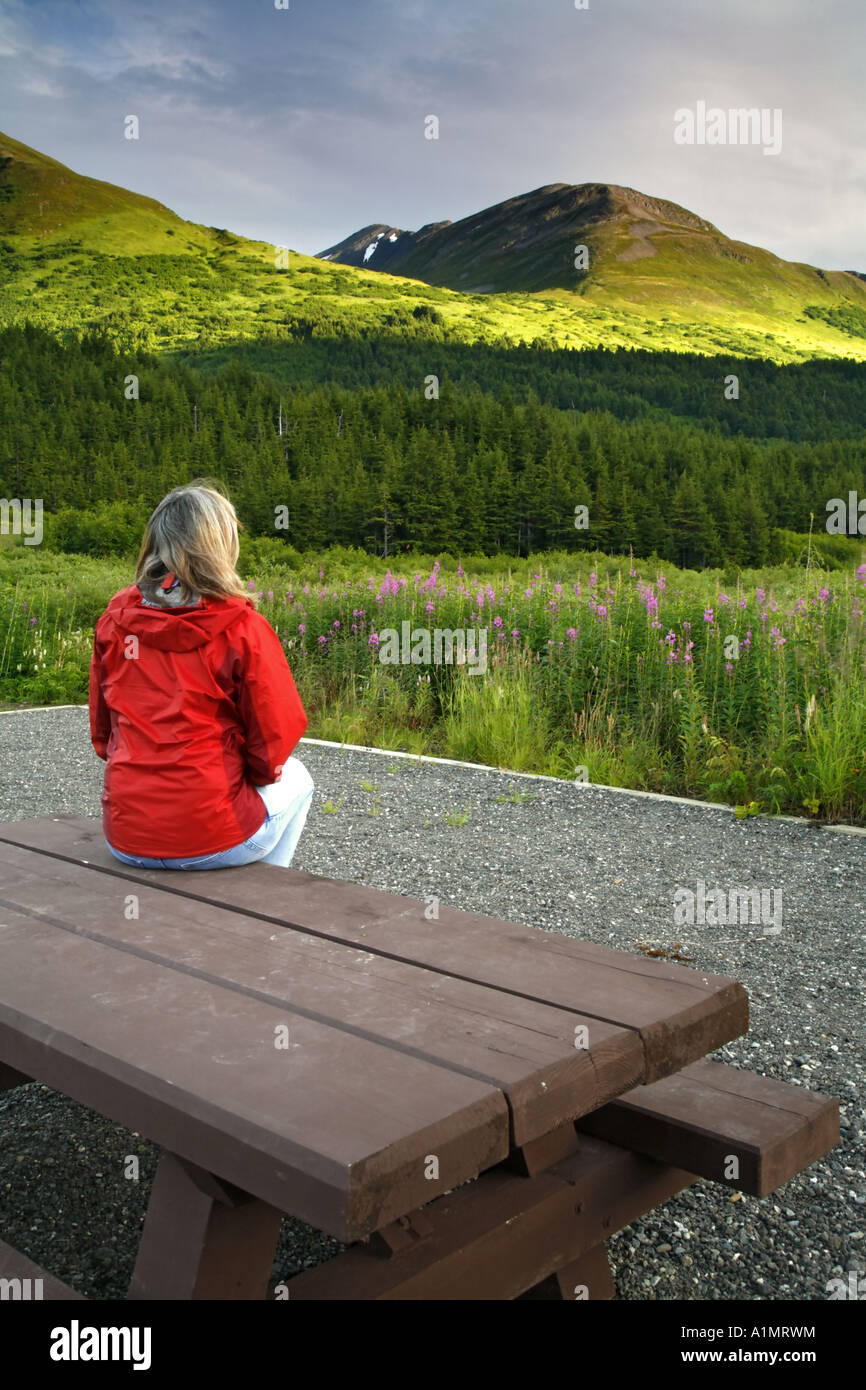 A visitor in Turnagain Pass Chugach National Forest Alaska MR Stock ...