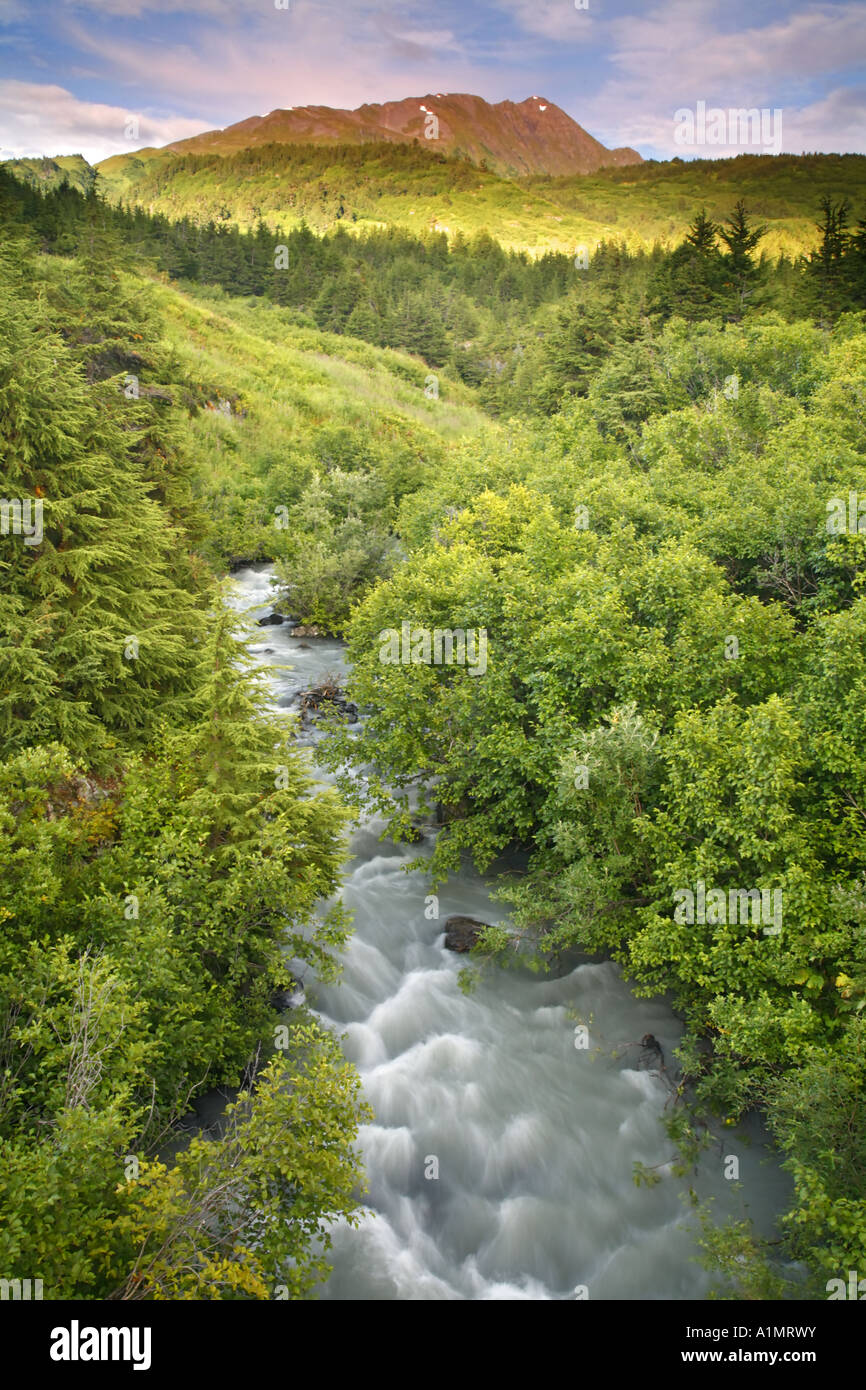 A stream in Turnagain Pass Chugach National Forest Alaska Stock Photo ...