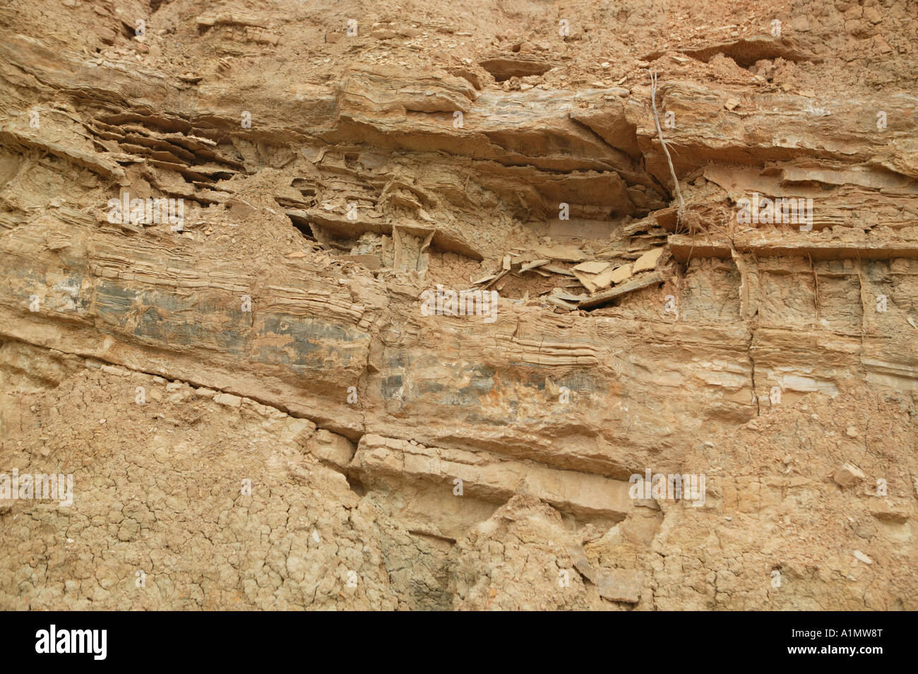 stratum, layer, sediment, deposit, geologic, geological, origin Stock ...
