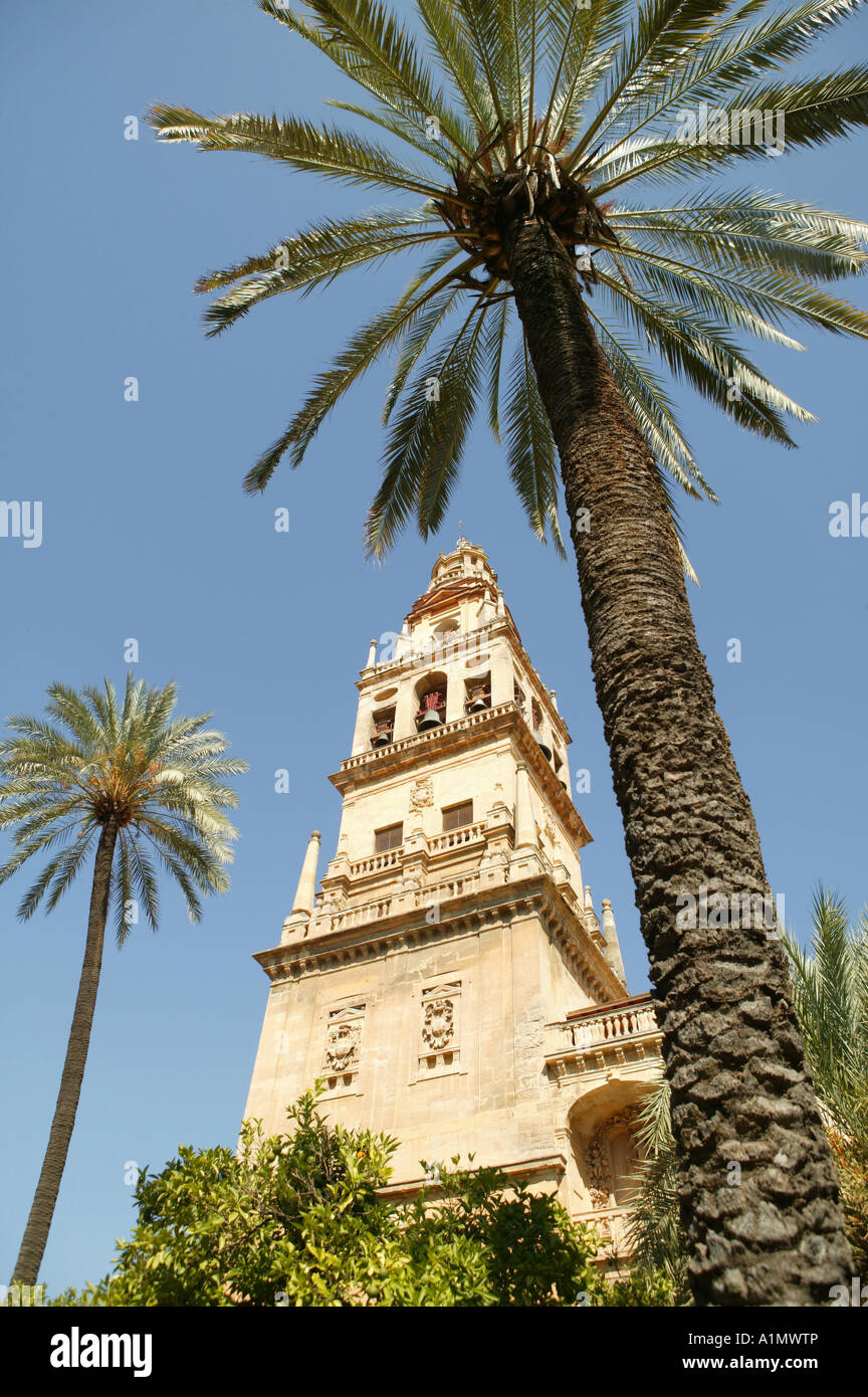 Spain, Cordoba, Andalucia, arquitecture, arabian, tipical, art ...