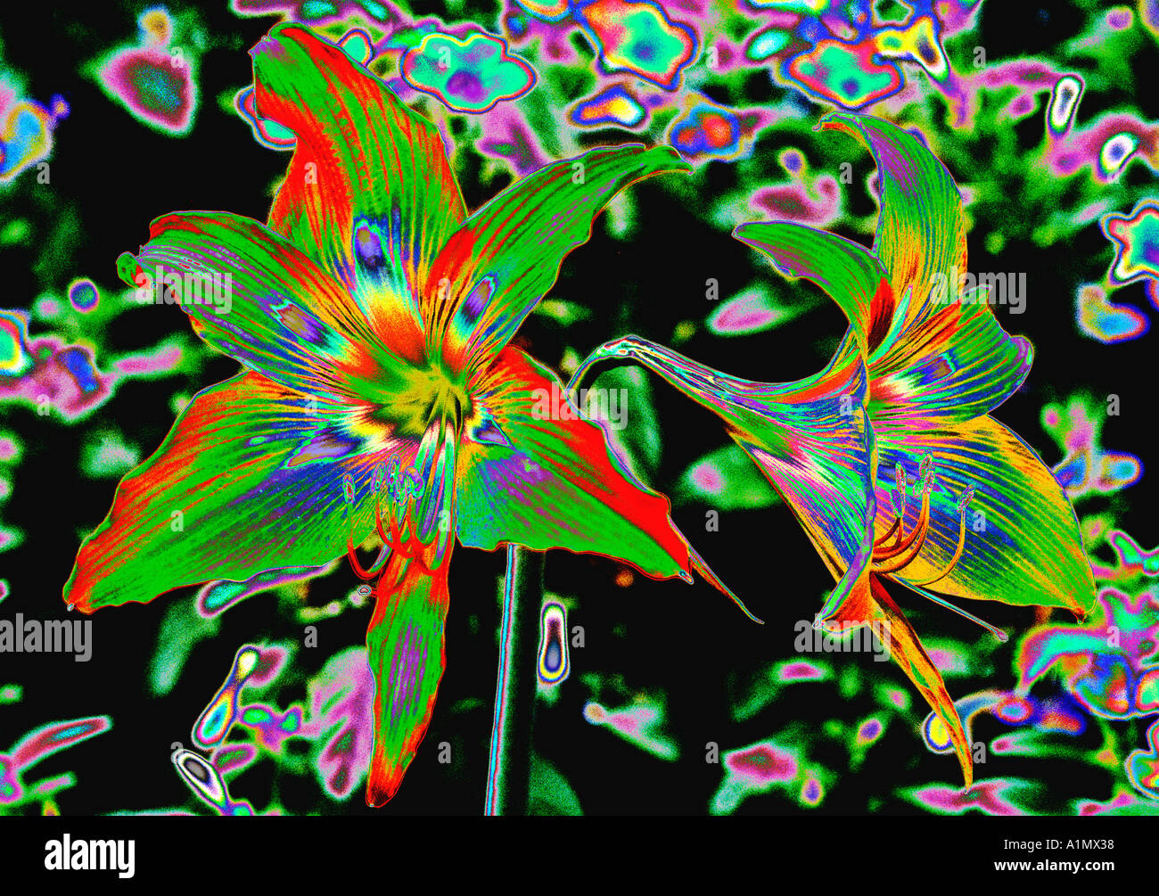 Color solarization hi-res stock photography and images - Alamy