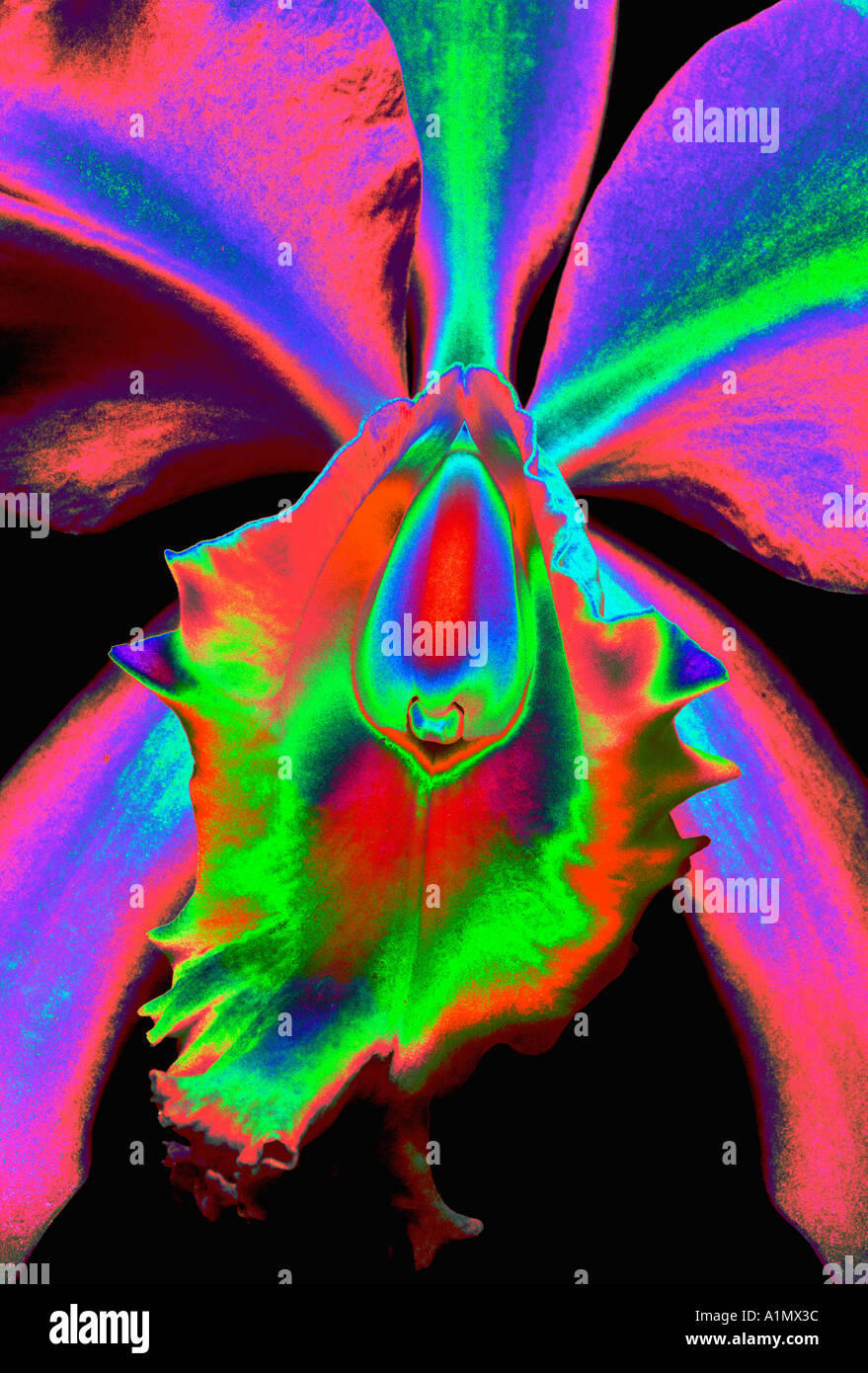 Color solarization hi-res stock photography and images - Alamy