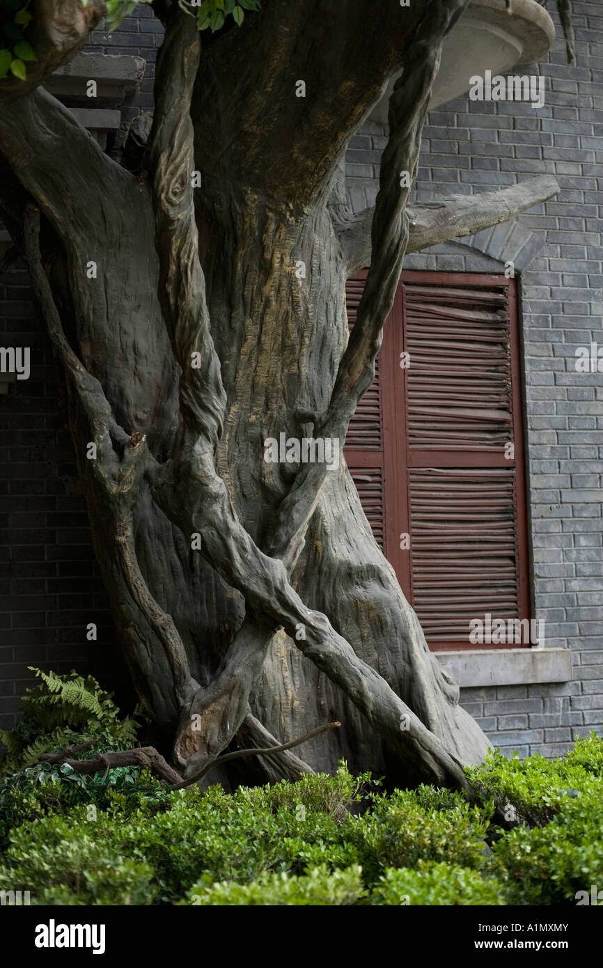 Old vined tree Stock Photo - Alamy