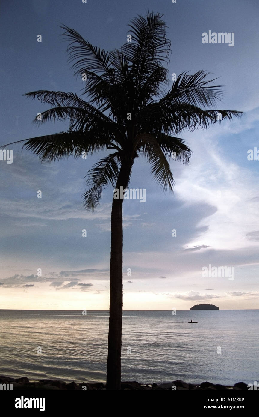 Palm tree at sunset with island in distance Stock Photo - Alamy