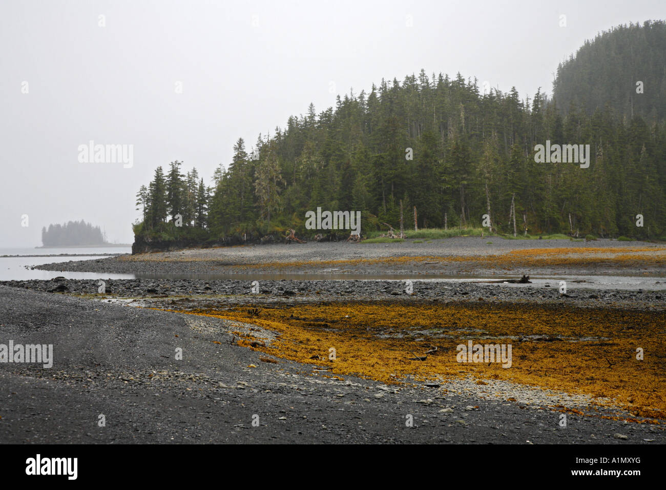 Harrison Lagoon Prince William Sound Chugach National Forest Alaska ...