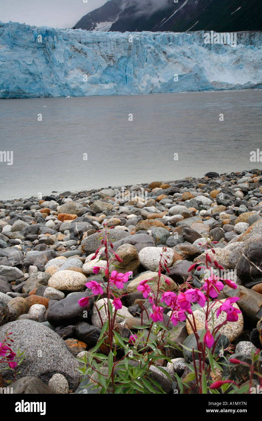 Childs Glacier and the Copper River Cordova Chugach National Forest ...