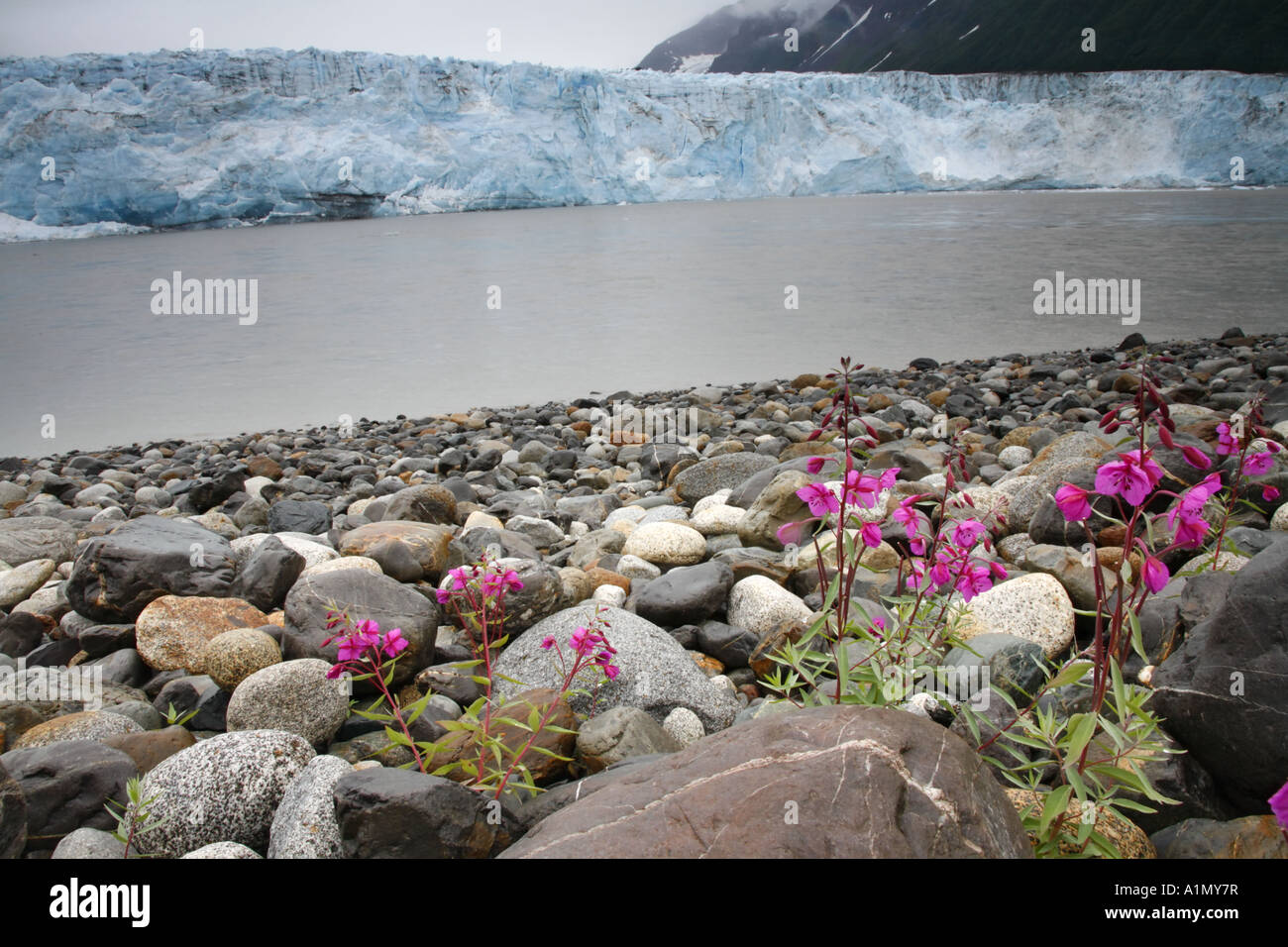 Childs Glacier and the Copper River Cordova Chugach National Forest ...