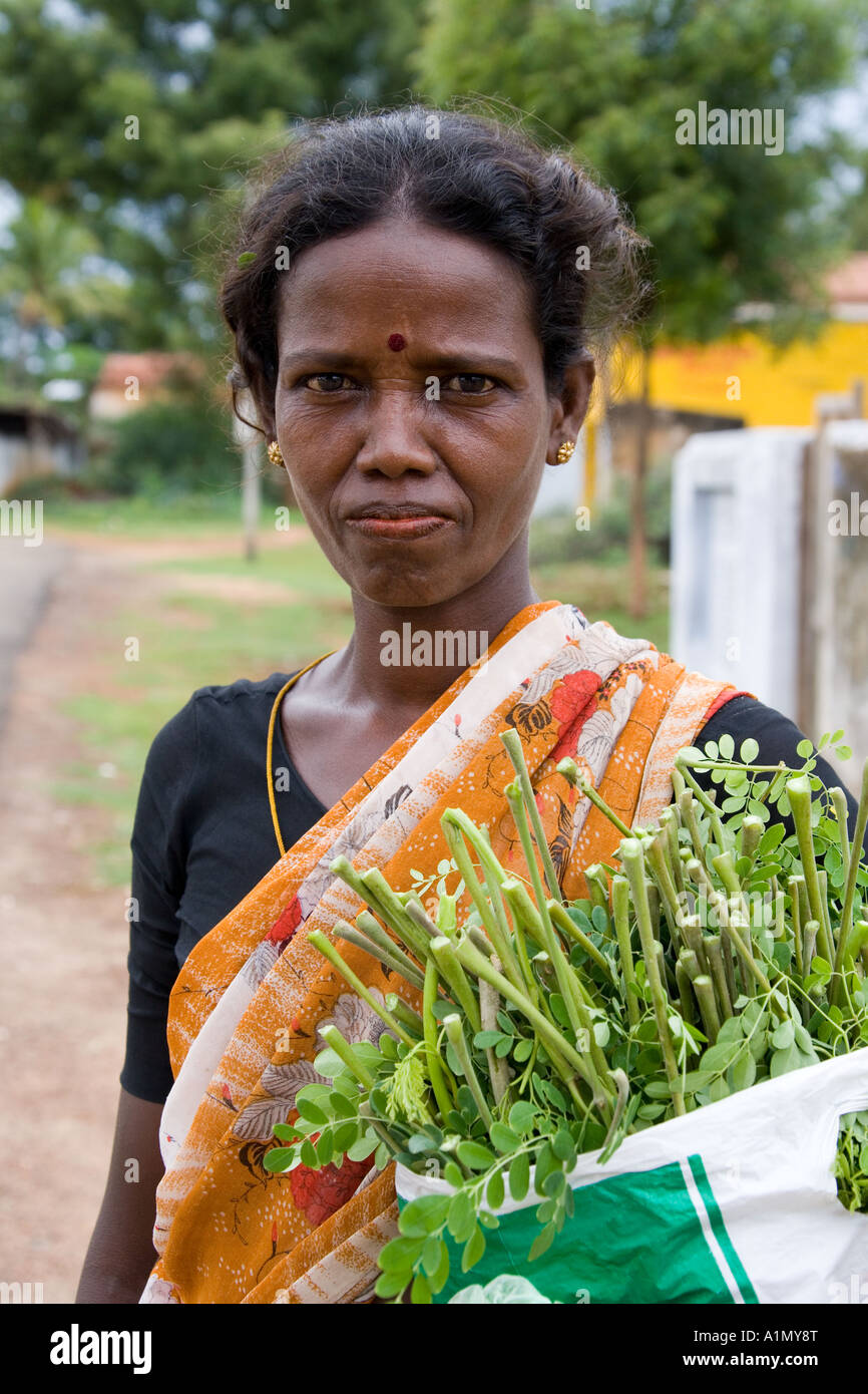 Local Tamil woman in the village of Karaikudi in the Chettinad area of ...